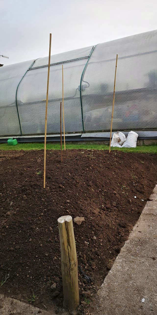 How To Grow A Giant Marrow