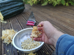 How To Grow A Giant Marrow