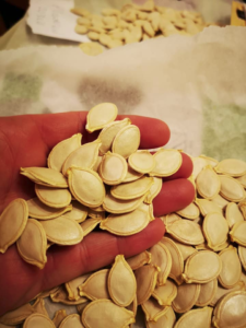 How To Grow A Giant Marrow