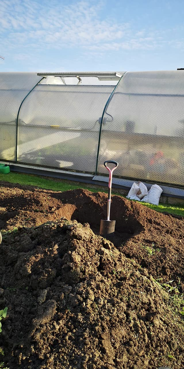 How To Grow A Giant Marrow