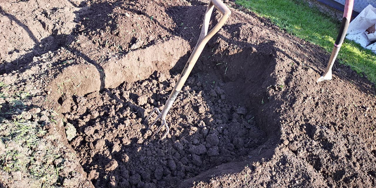 How To Grow A Giant Marrow