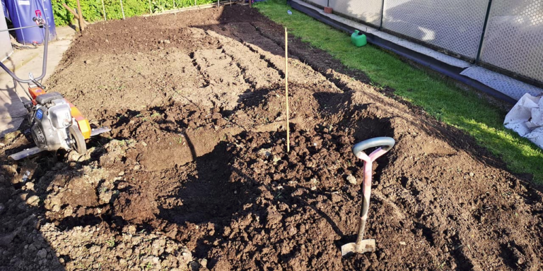 How To Grow A Giant Marrow