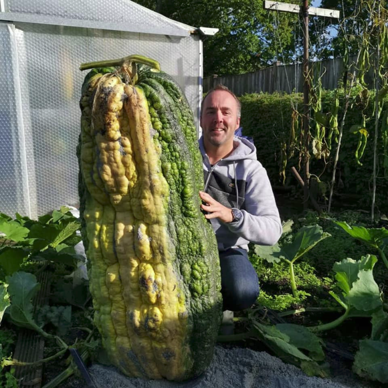 Our Record Breaking Achievements